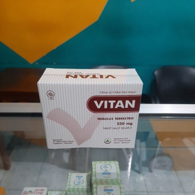 Jual VITAN 250 MG BOX 20 TABLET | Shopee Indonesia