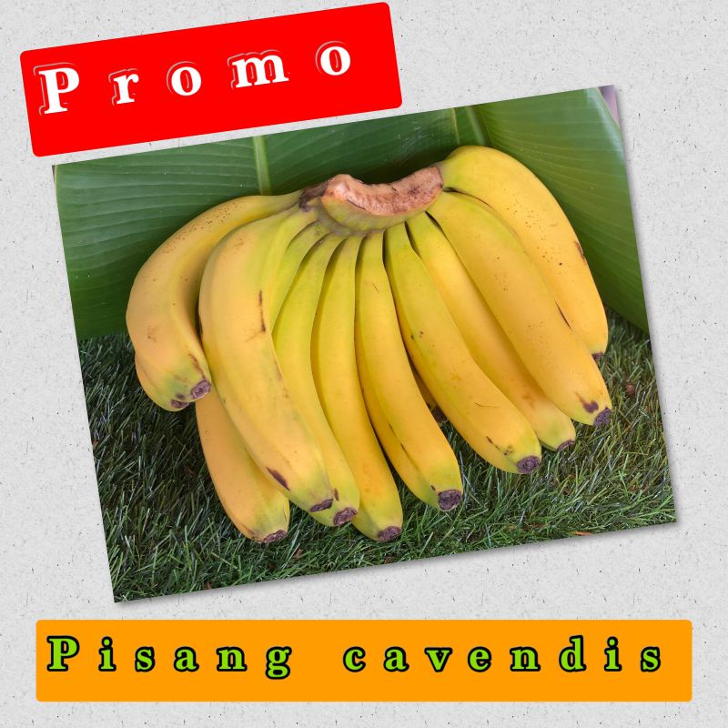 Jual Pisang sunpride|pisang cavendish|buah segar bandung|nuri fruits ...
