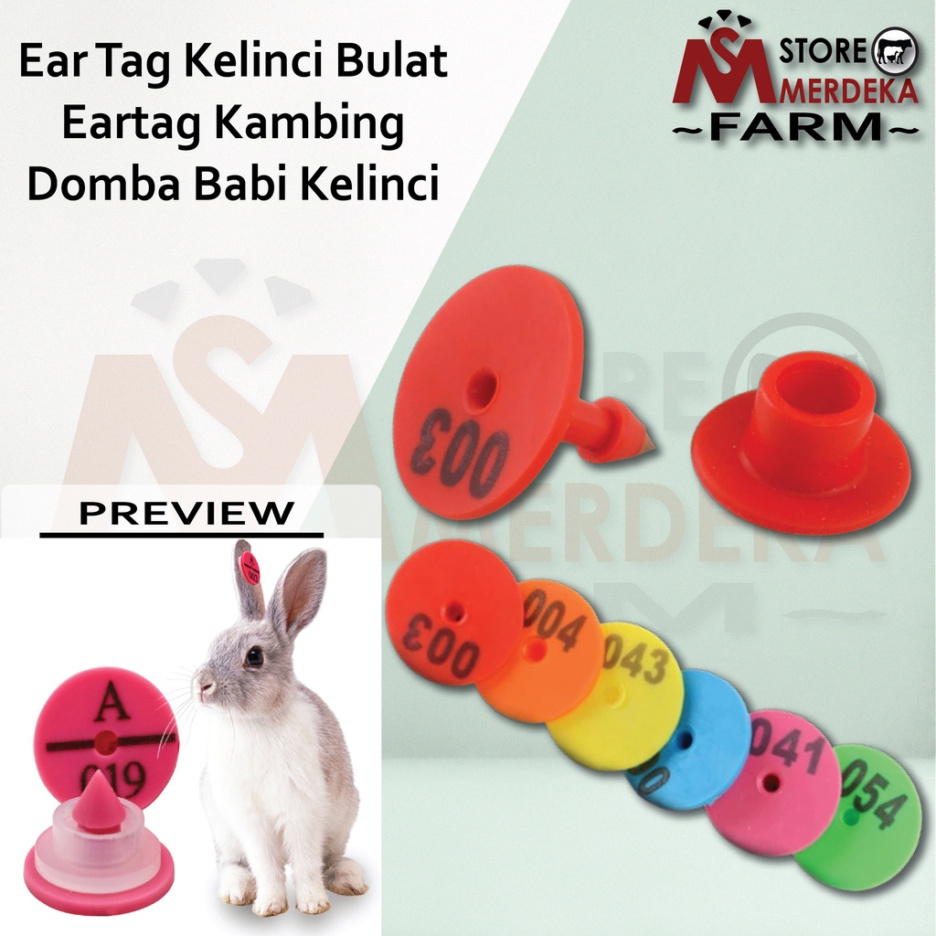 Jual Ear Tag Kelinci Bulat Eartag Kambing Domba Babi Kelinci | Shopee ...