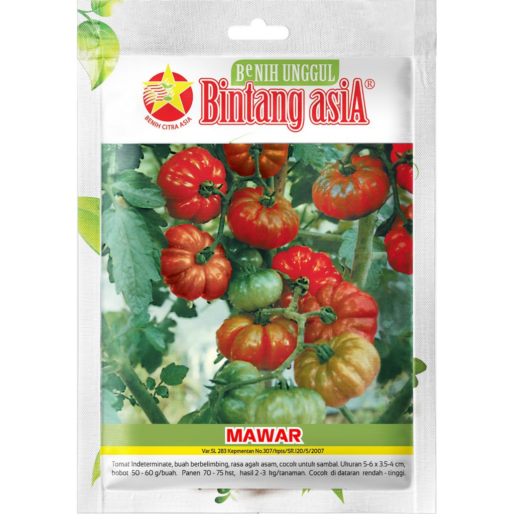 Jual Benih Tomat MAWAR 1 Gram Cap Bintang Asia PT Benih Citra Asia Buah ...