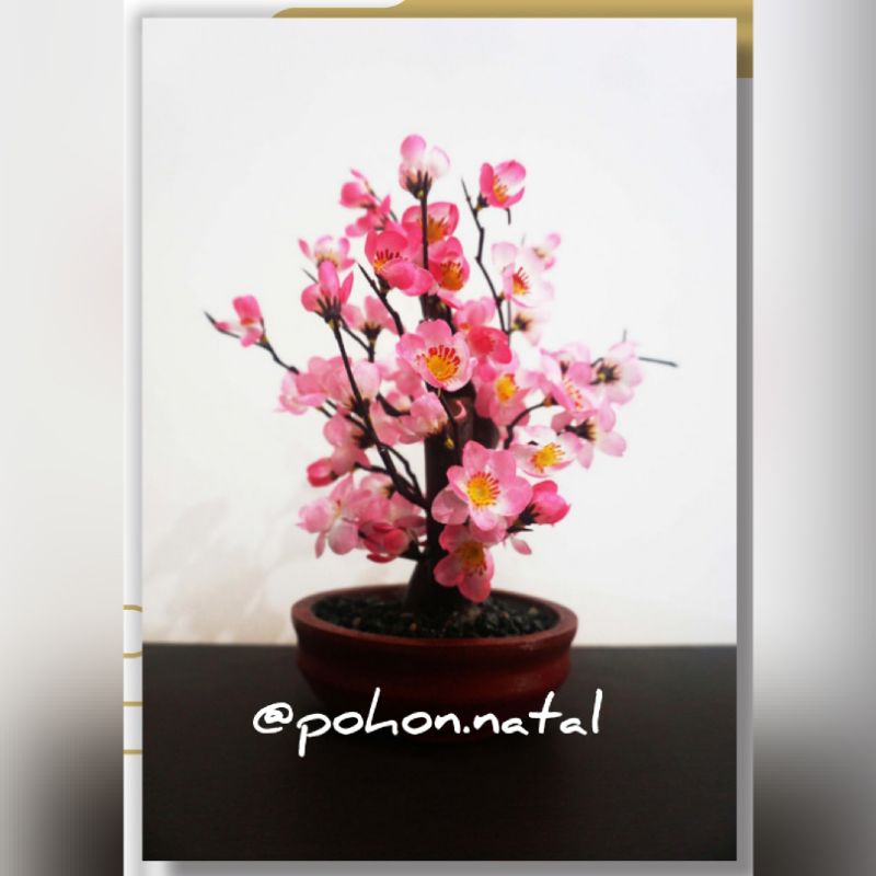 Jual Pohon Imlek Plastik Hias Bonsai Meihua Sakura Angpao Pot 25cm ...