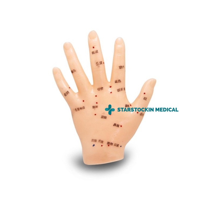 Jual Manekin Patung Akupuntur Tangan Onemed | Shopee Indonesia