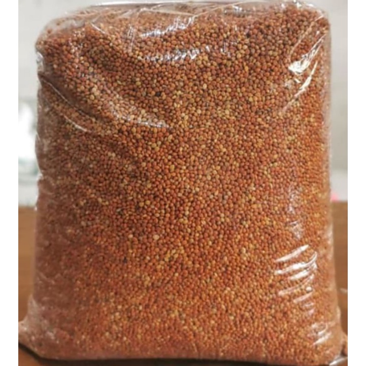 Jual BIJI JEWAWUT JAWAWUT 1 KILO pakan makanan burung biji bijian ...