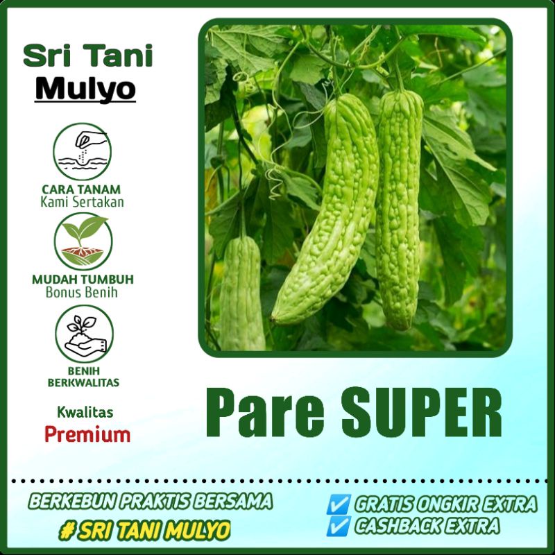 Jual 4 Biji - Benih Pare Paria RADEN F1 - Panah Merah / Biji Pare ...