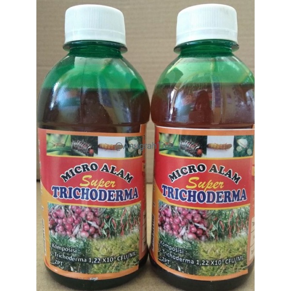 Jual Mikro Alam SUPER TRICHODERMA (Anti layu dan Dekomposer) Berat ...