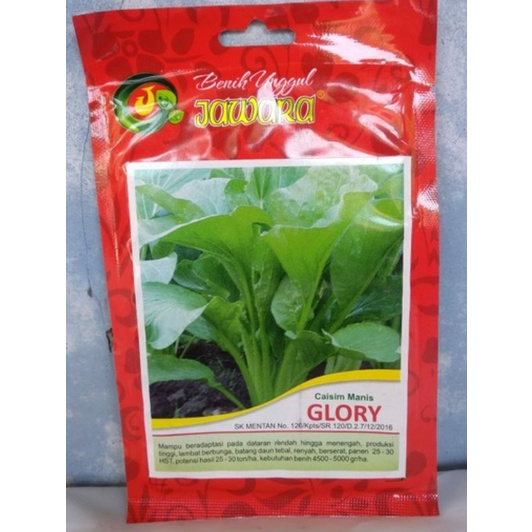 Jual Benih Biji CAISIM MANIS GLORY 25 gram kemasan Pabrik JAWARA ...