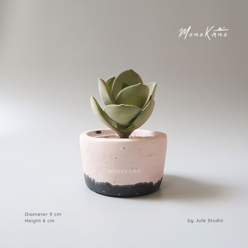 Jual Pot Tanaman Size M Waterproof/Misty Rose/Succulent/Sukulent ...