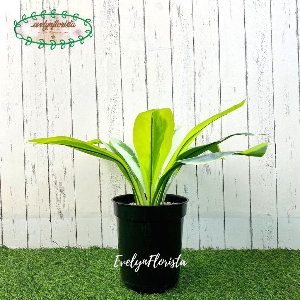 Jual Pohon Daun Pandan Bali X12 Plastik Artificial Pot Effiel Hitam ...