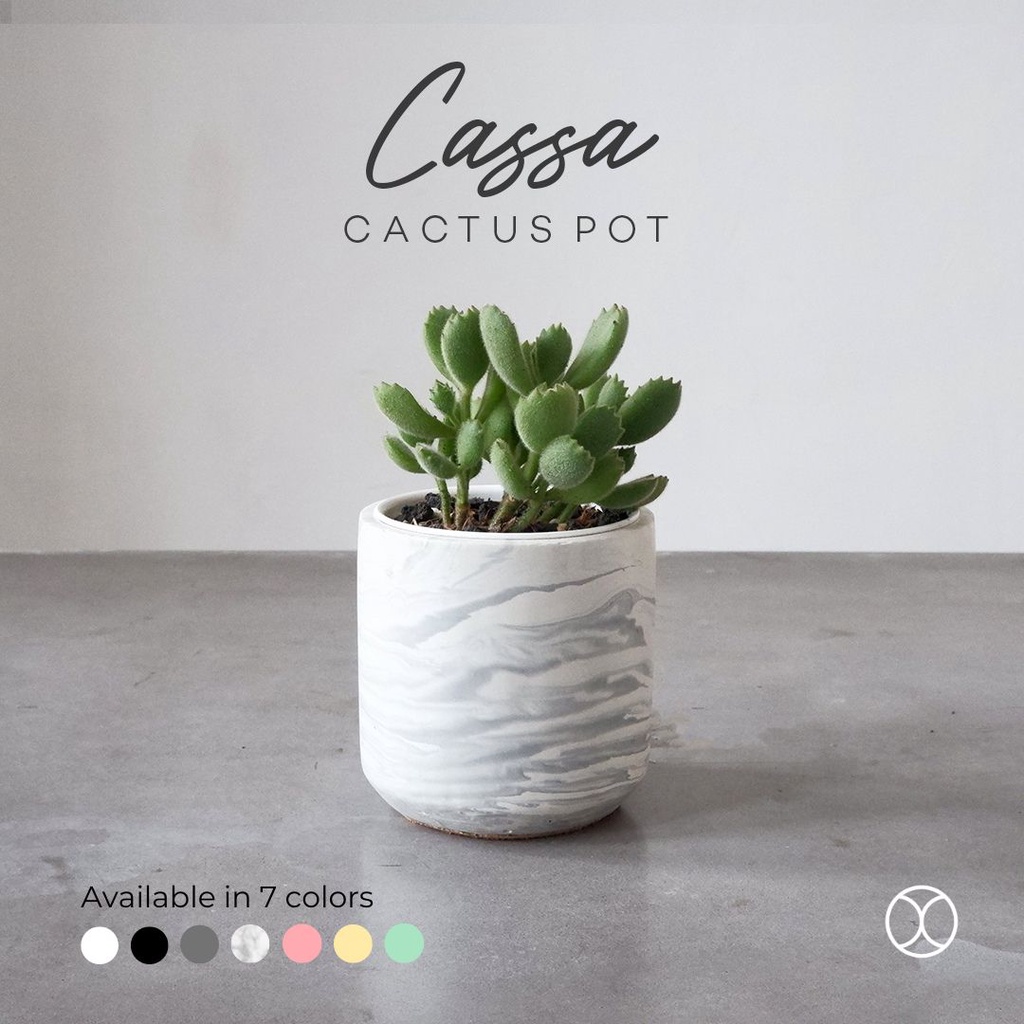 Jual CONCREATE LIVING Pot Kaktus 8 Cm Cassa Home Decor 8 Cm Pot ...