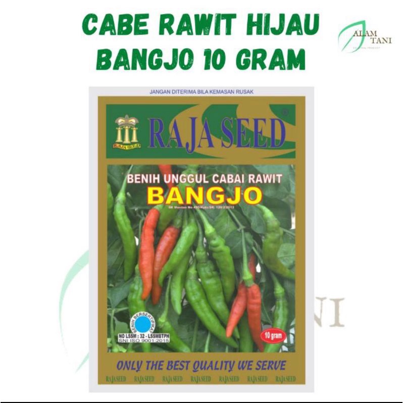 Jual kemasan besar) Benih Cabe Rawit Hijau BANGJO Bangkok Ijo 10gram ...