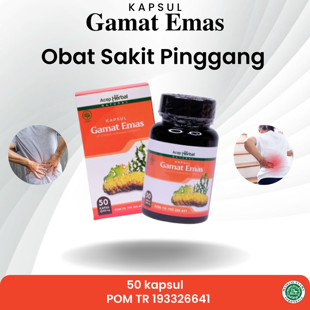 Jual Obat Sakit Pinggang, Sakit Tulang Ekor, Nyeri Tulang Belakang ...
