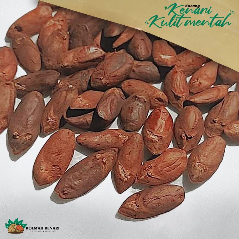 Jual Kacang Kenari Kulit Ari Mentah 500 gr | Shopee Indonesia