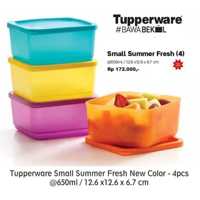 Jual Small Summer Fresh Tupperware | Shopee Indonesia