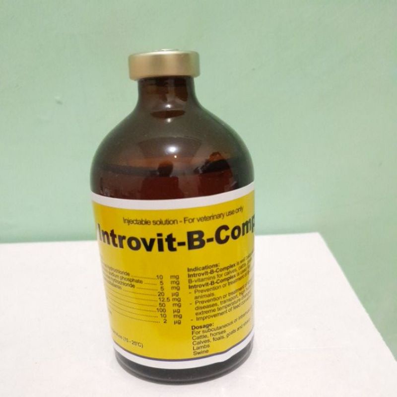 Harga Introvit-B-Complex Terbaru Okt 2024 |BigGo Indonesia