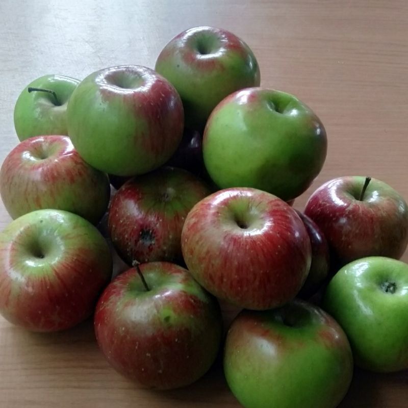 Jual Apel Malang (500g) | Shopee Indonesia