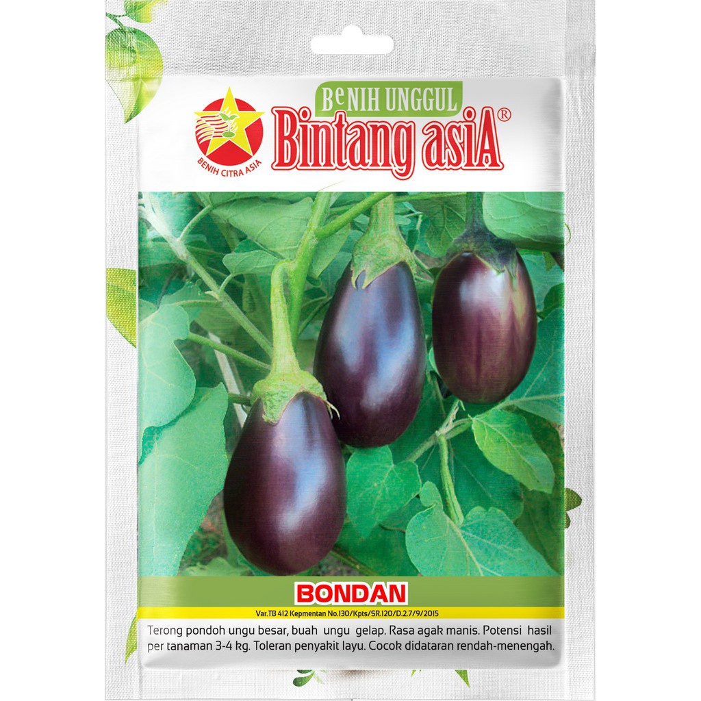 Jual Benih Terong BONDAN 4 Gram Cap Bintang Asia PT Benih Citra Asia ...