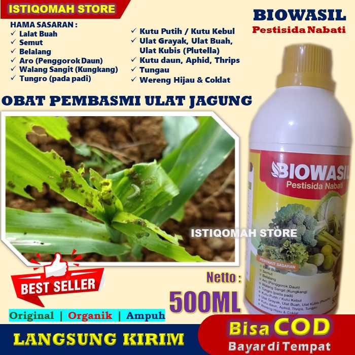 Jual Obat Ulat Tanaman Jagung BIOWASIL 500ML Pestisida Nabati Obat ...