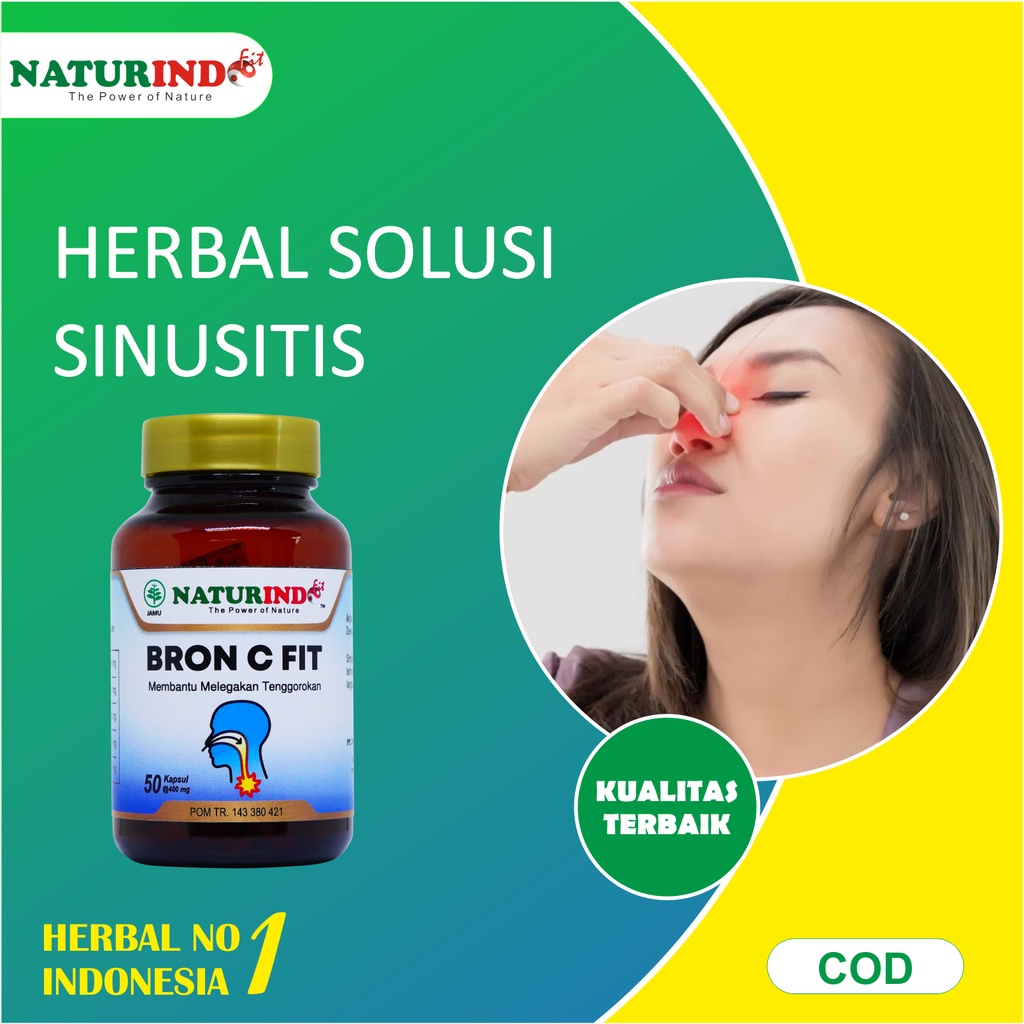 Jual Obat Herbal Sinusitis Sinus Rhinitis Hidung Mampet Tersumbat Pilek ...