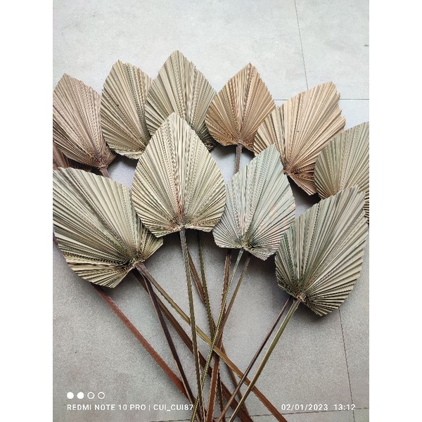 Jual 10 tangkai daun mini | Shopee Indonesia