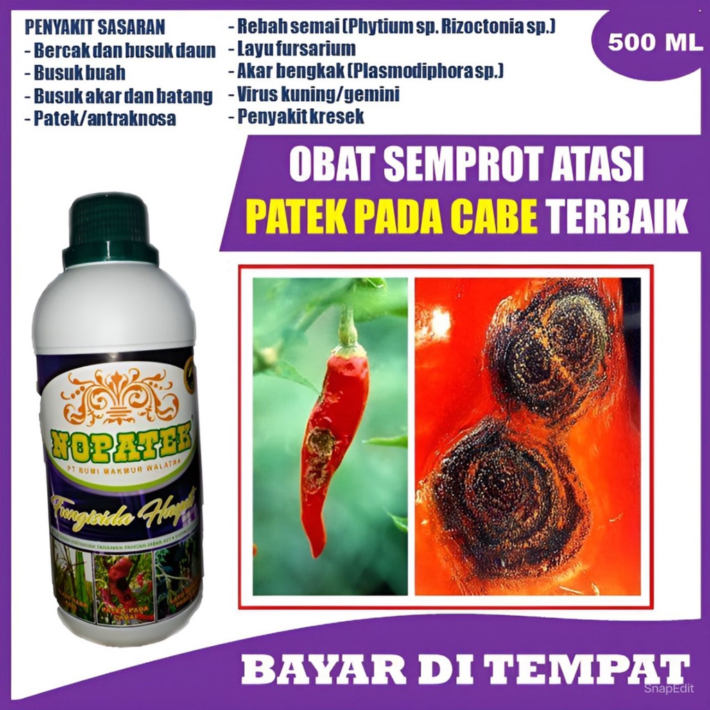 Jual NOPATEK 500ML PUPUK FUNGISIDA Obat Untuk Mengatasi Penyakit Patek Pada Cabe Paling Ampuh ...