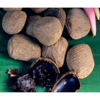Jual kluwek/kluwak/Bumbu rempah rawon 1 kg | Shopee Indonesia