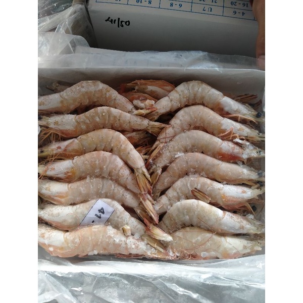 Jual UDANG JERBUNG BESAR PREMIUM 1KG TERMURAH | Shopee Indonesia
