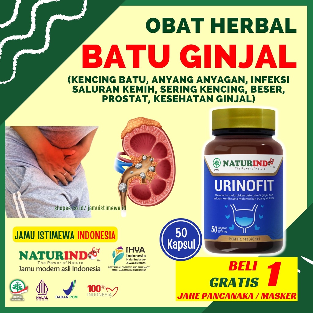 Jual Obat Batu Ginjal Infeksi Saluran Kemih Prostat Sering Kencing ...