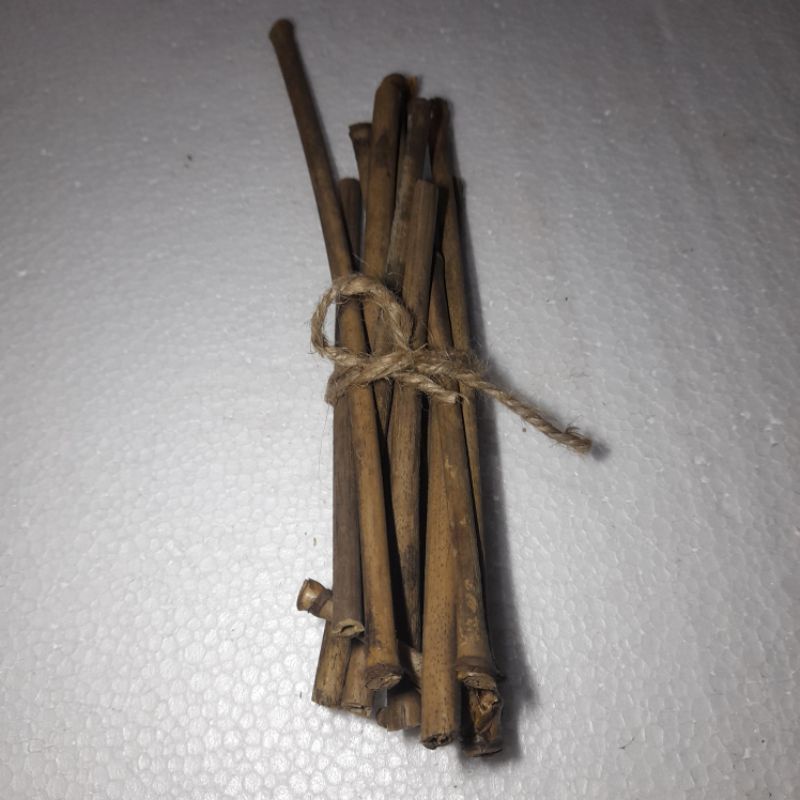 Jual Ranting bambu Ranting prakarya Bambu | Shopee Indonesia