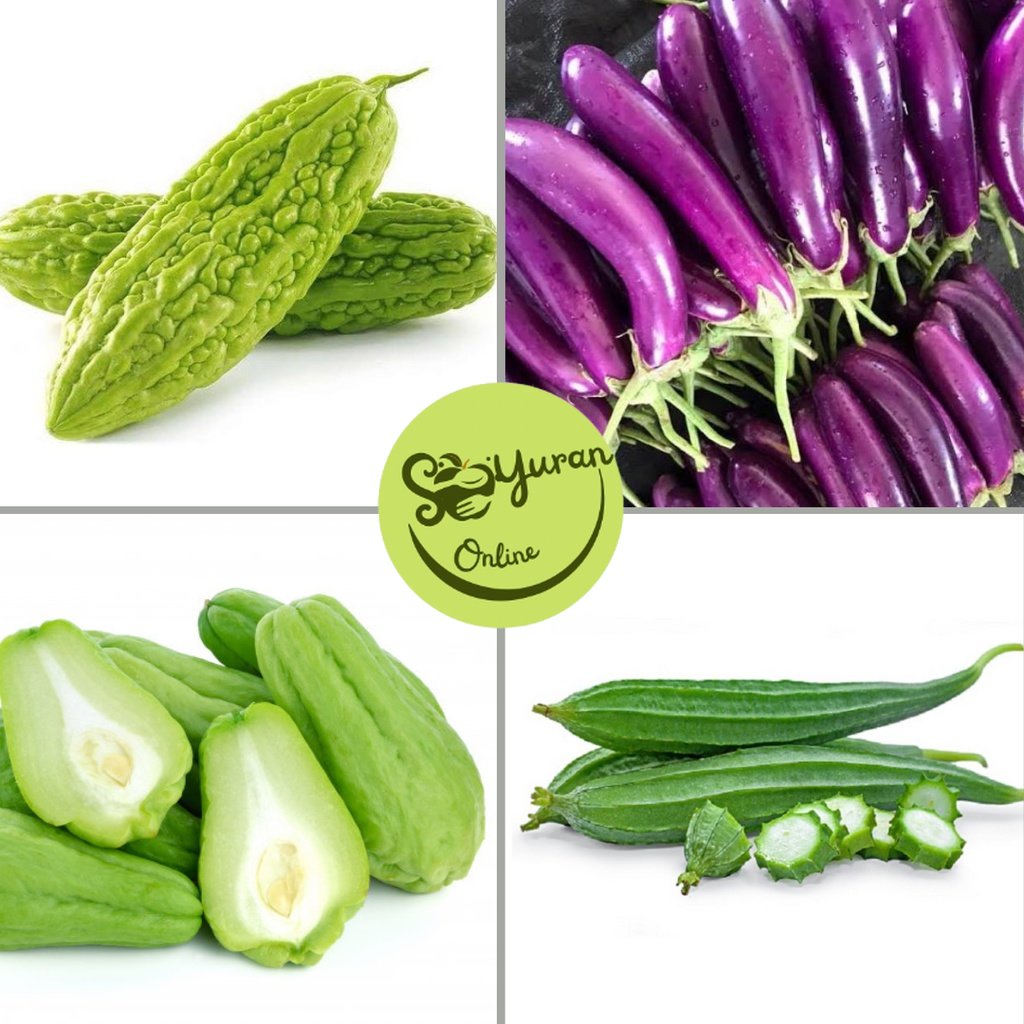 Jual Sayur Terong Ungu / Pare / Labu Siam Kecil / Gambas Sayuran Segar ...