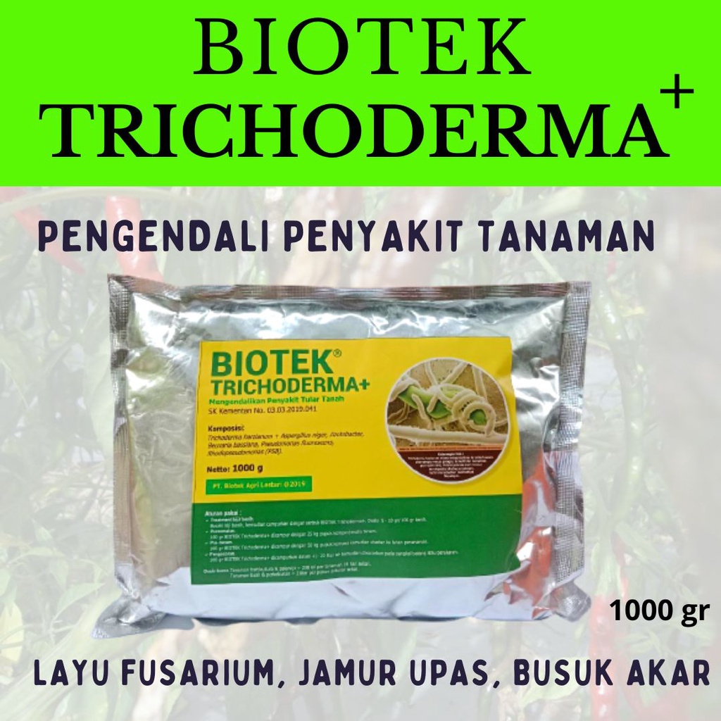 Jual Obat Busuk Akar Tanaman Hidroponik, Biotek Trichoderma Pupuk ...
