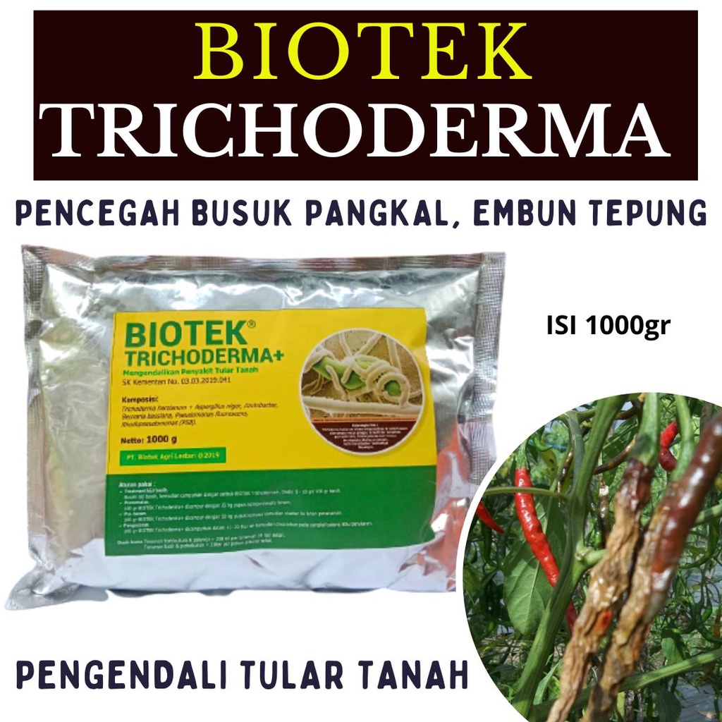 Jual Pupuk Biotek Trichoderma Plus Beauveria Bassiana Pembasmi Belalang, Tricoderma Hayati Untuk ...