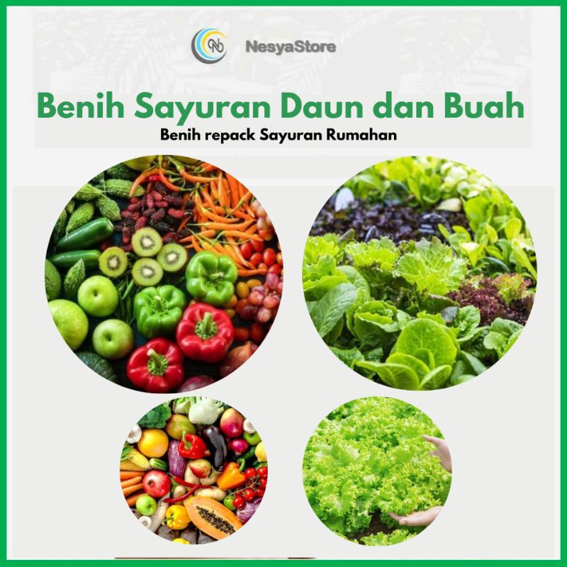 Jual Benih Sayur Sayuran Daun Buah Rumahan Lengkap Berkualitas - Benih ...