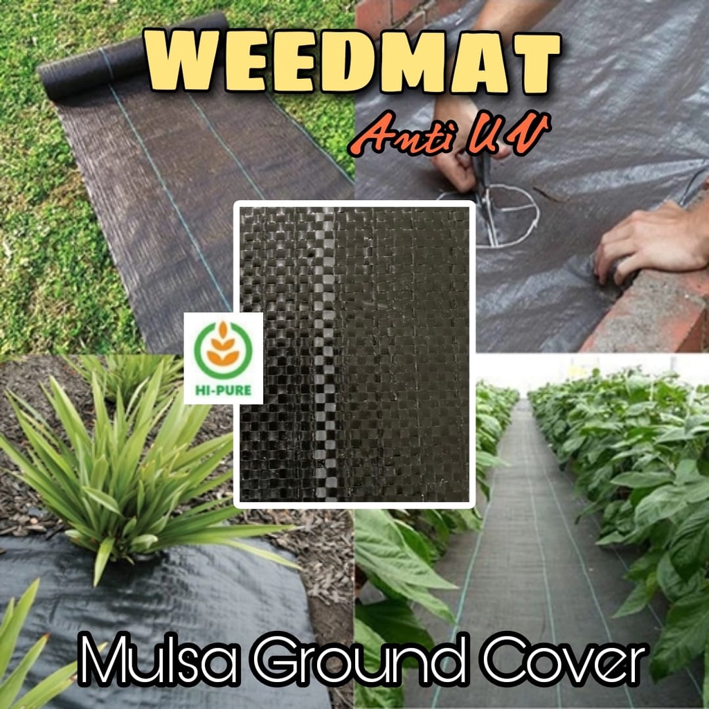 Jual Weedmat Lebar 4 Meter Anti UV Mulsa Ground Cover Terpal Green ...