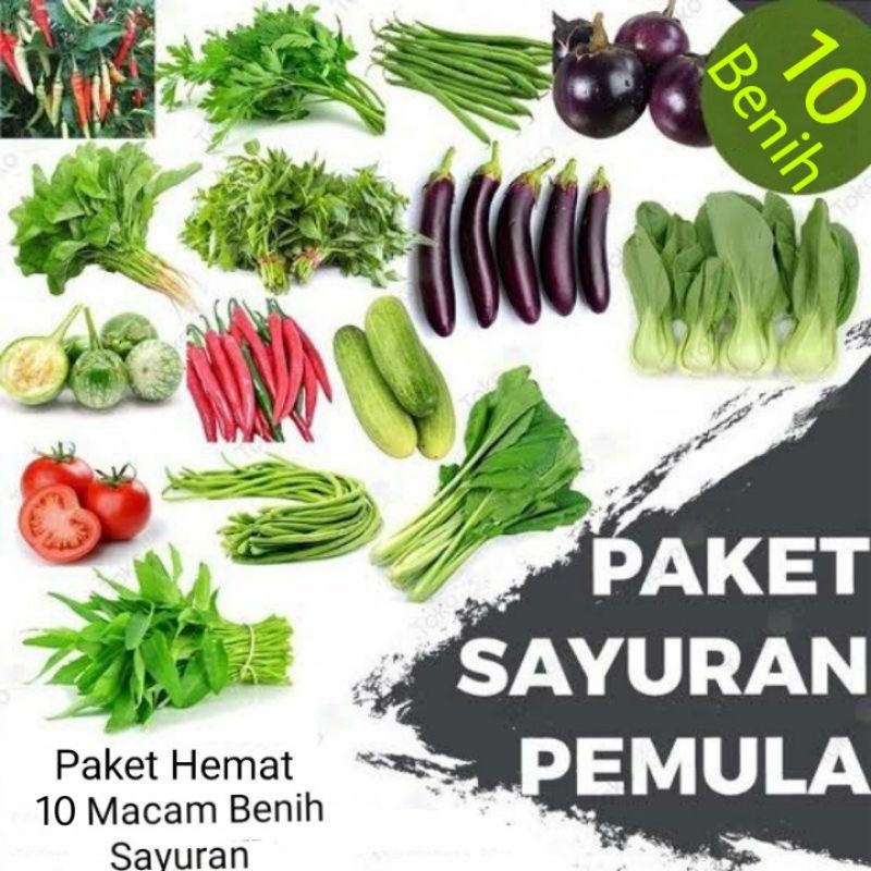 Jual Paket Hemat 10 Jenis Benih Sayuran | Shopee Indonesia
