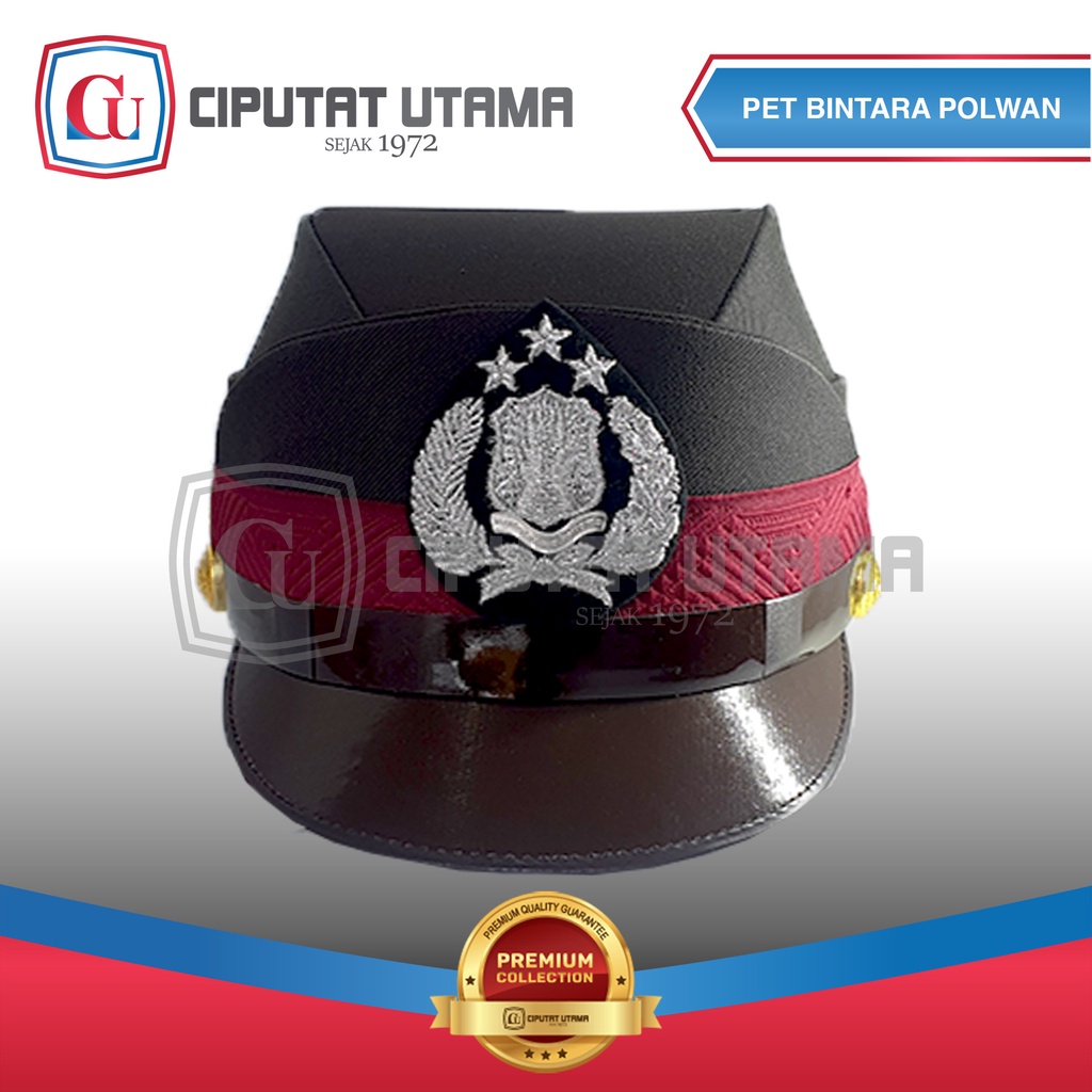 Jual TOPI PET PDH PDU BINTARA COKLAT POLWAN POLRI | Shopee Indonesia