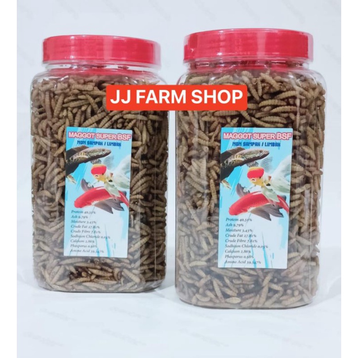 Jual Ikan Impun Terlengkap & Harga Terbaru Maret 2023 | Shopee Indonesia