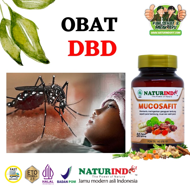 Jual Obat DBD Herbal Atasi Demam Berdarah demam Obat Nyamuk DBD Demam ...