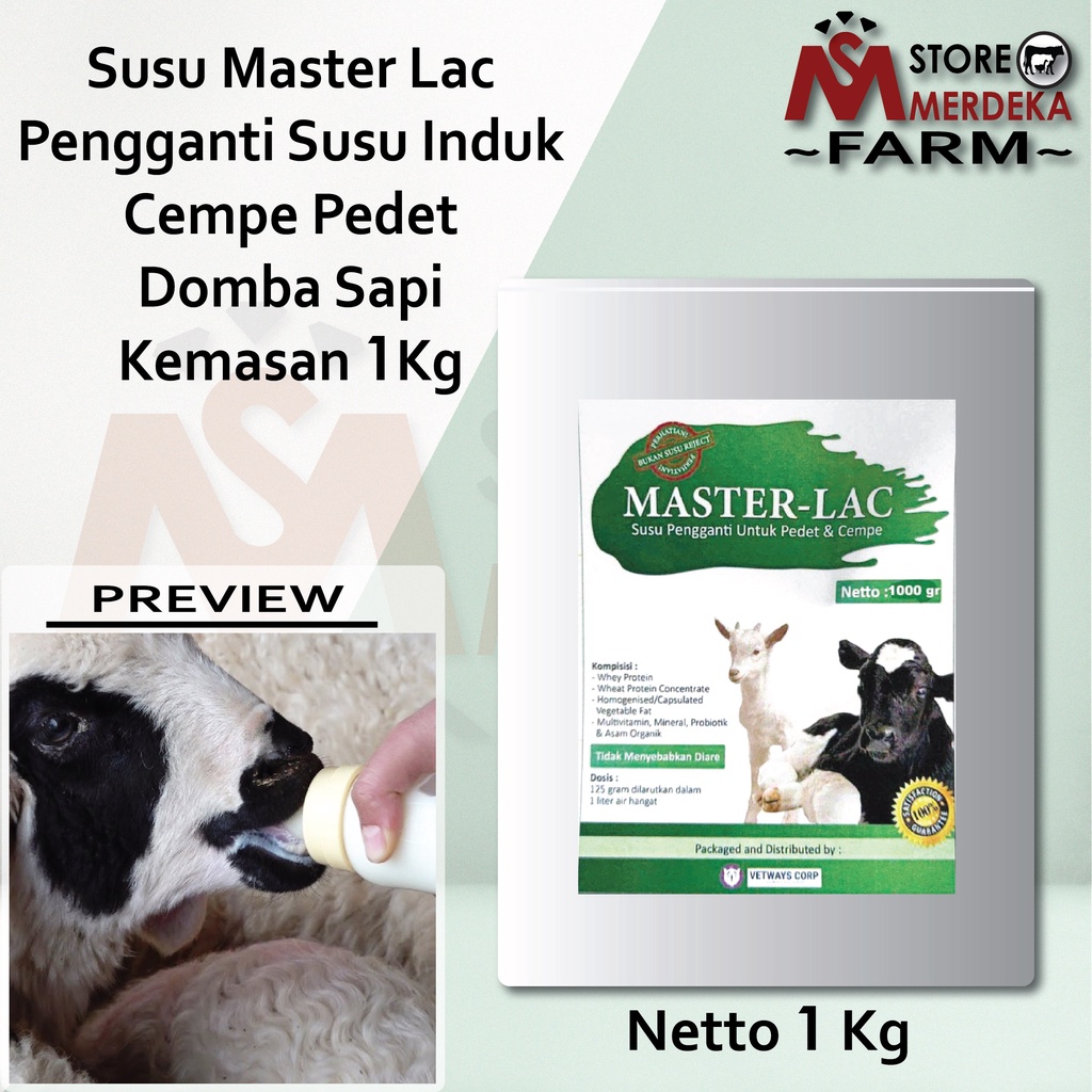 Jual Susu Master Lac Pengganti Cempe Pedet Domba Sapi Master Lac ... Jual Susu Master Lac Pengganti Cempe Pedet Domba Sapi Master Lac ...