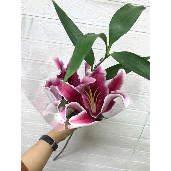 Jual BUNGA LILY PERTANGKAI FRESH Ready Stock | Shopee Indonesia
