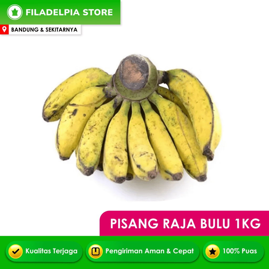 Jual Pisang Raja Bulu 1kg Buah Segar Bandung | Shopee Indonesia