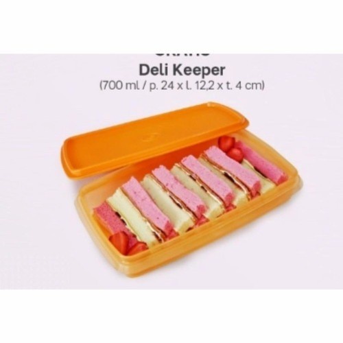 Jual Tupperware Pak N Stor, Delly Keeper Dll | Shopee Indonesia