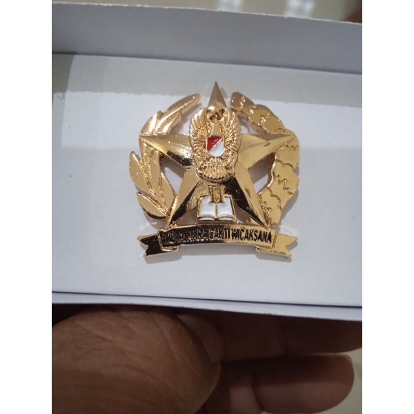 Jual brevet wing pin diklapa ll tni ad | Shopee Indonesia