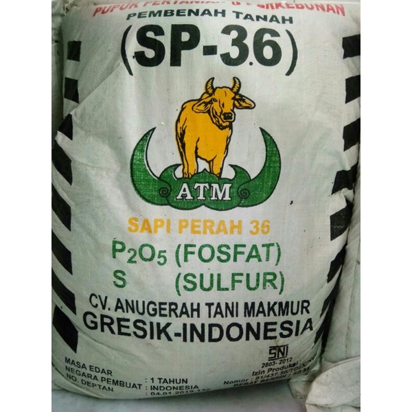 Harga SP36 50KG Terbaru Okt 2025 | BigGo Indonesia
