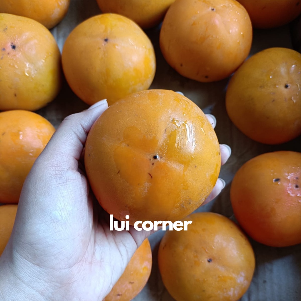 Jual Persimmon/ Kesemek Korea 10 Kg per Dus | Shopee Indonesia
