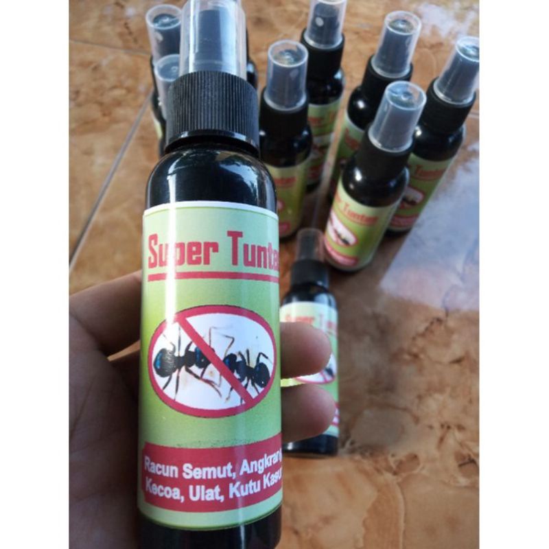 Jual RACUN SEMUT RAYAP KECOA KUTU DLL 100Ml Original 100% Asli Kualitas ...