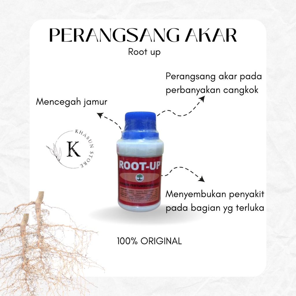 Jual ROOT UP Hormon perangsang Akar-Stek-Cangkok (100g) | Shopee Indonesia