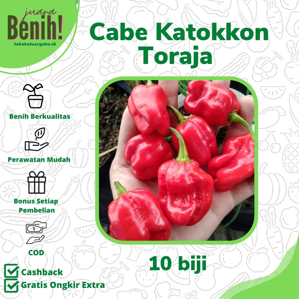 Jual Benih Biji Cabai Katokkon Toraja Super Pedas Isi 10 Biji | Shopee ...