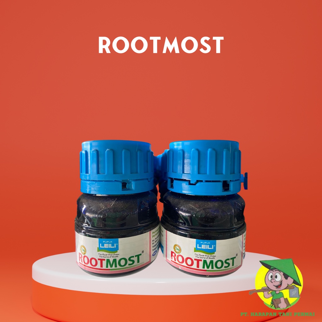 Harga rootmost Terbaru Mei 2025 | BigGo Indonesia