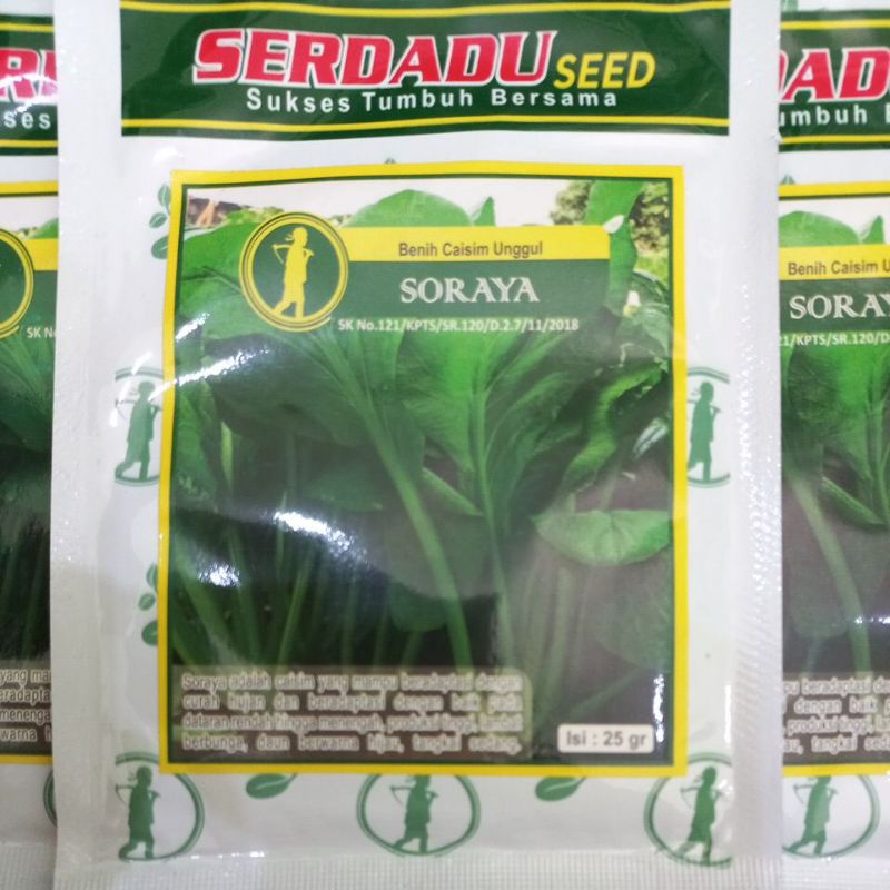 Jual Benih Sawi Caisim SORAYA 25 Gram Serdadu Seed | Shopee Indonesia