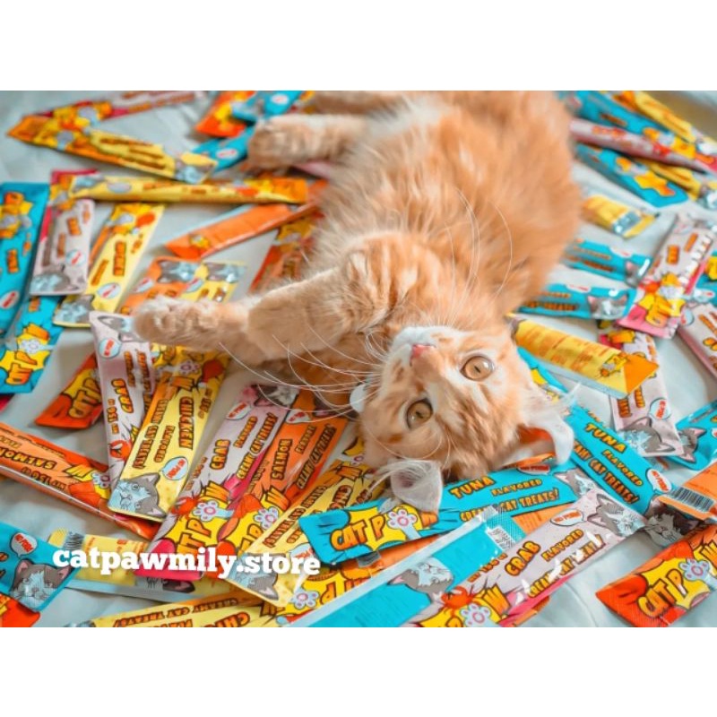 Jual CATPOW Creamy Treats Satuan ( Snack Kucing Satuan/Ecer) | Shopee ...